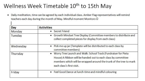 Wellness Week Activities - Knockskeagh National School